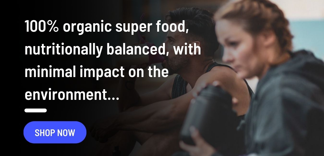 Military Health & Protein - Vegan Protein Shake